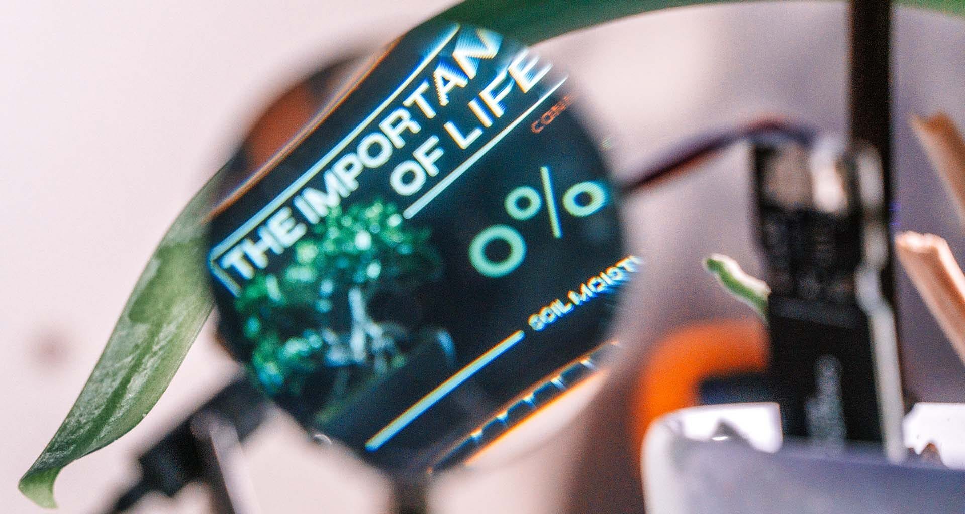 The Ultimate Guide to Building an Automated Gardening System with ESP32 Microcontrollers | Steve ...